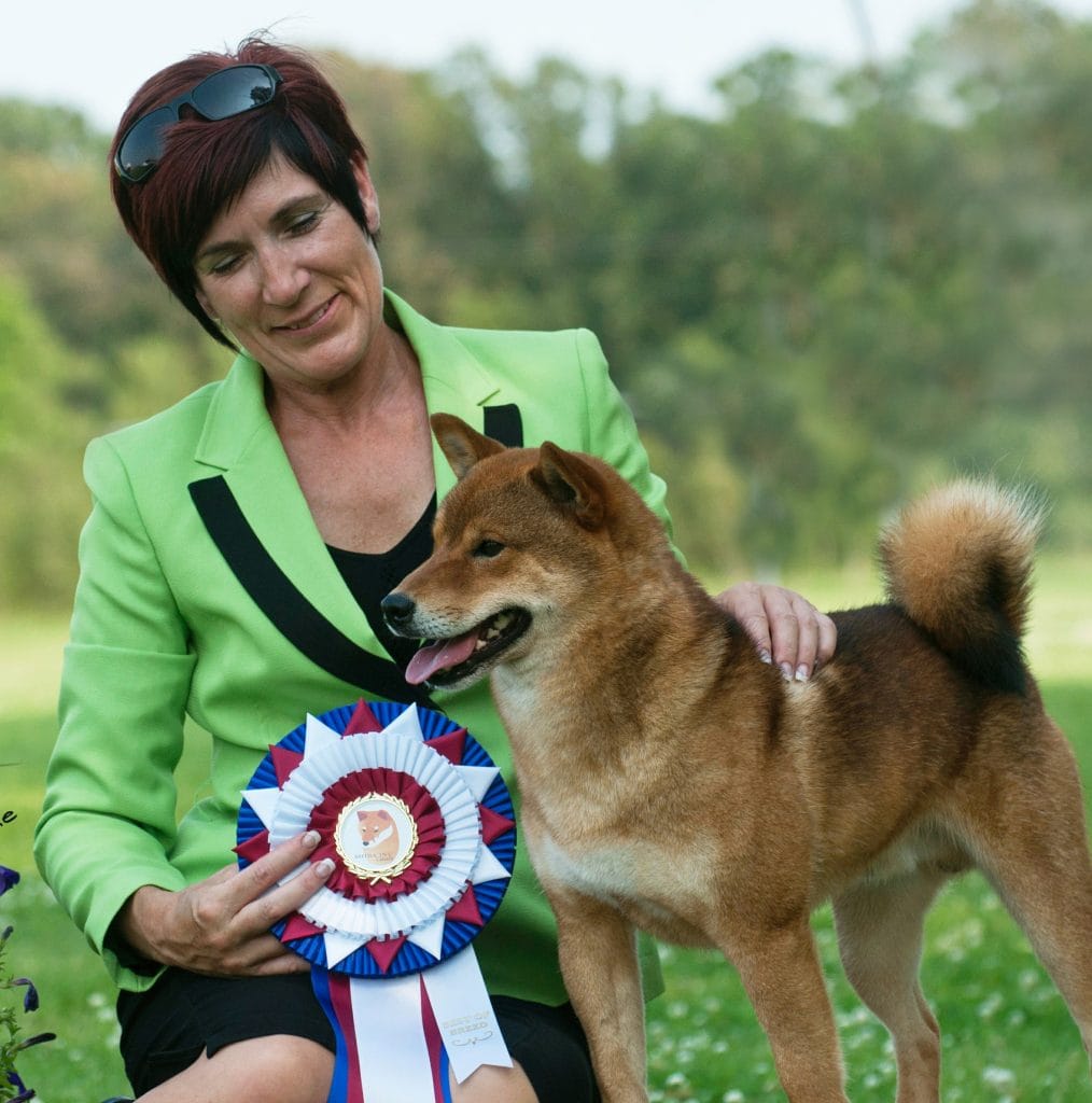 Satika Kennels - Shiba Inu Breeders